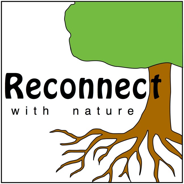 Forest School and Nature Connection – Reconnect with Nature